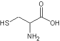 IUPAC one letter codes for Amino Acids - Steffen's Chemistry Pages