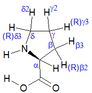 Proline (Pro, P) - Steffen's Chemistry Pages